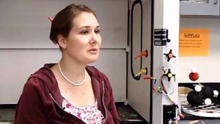 High School Science Teacher Overview | What is a high school science ...