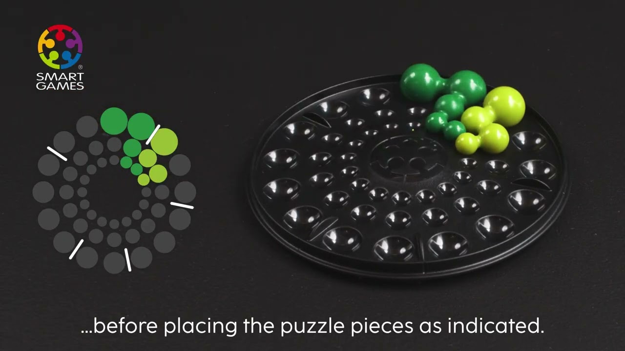 How to Play Smart Games SG 311 IQ Circle