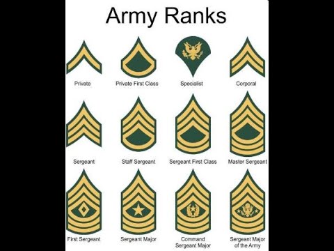 US Army Enlisted Ranks Explained #TWDBrand