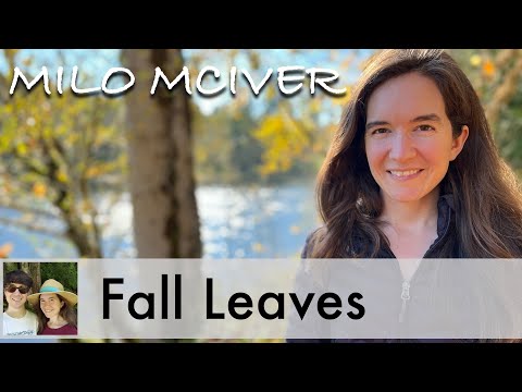 Fall Leaves Hike & 2nd-Largest Yew Tree in the US - Milo McIver State Park, Oregon
