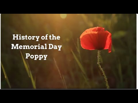 History of the Memorial Day Poppy