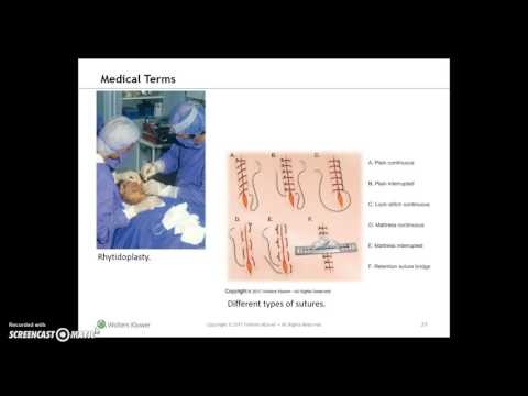 Chapter 4, Part 2 - Medical Terminology