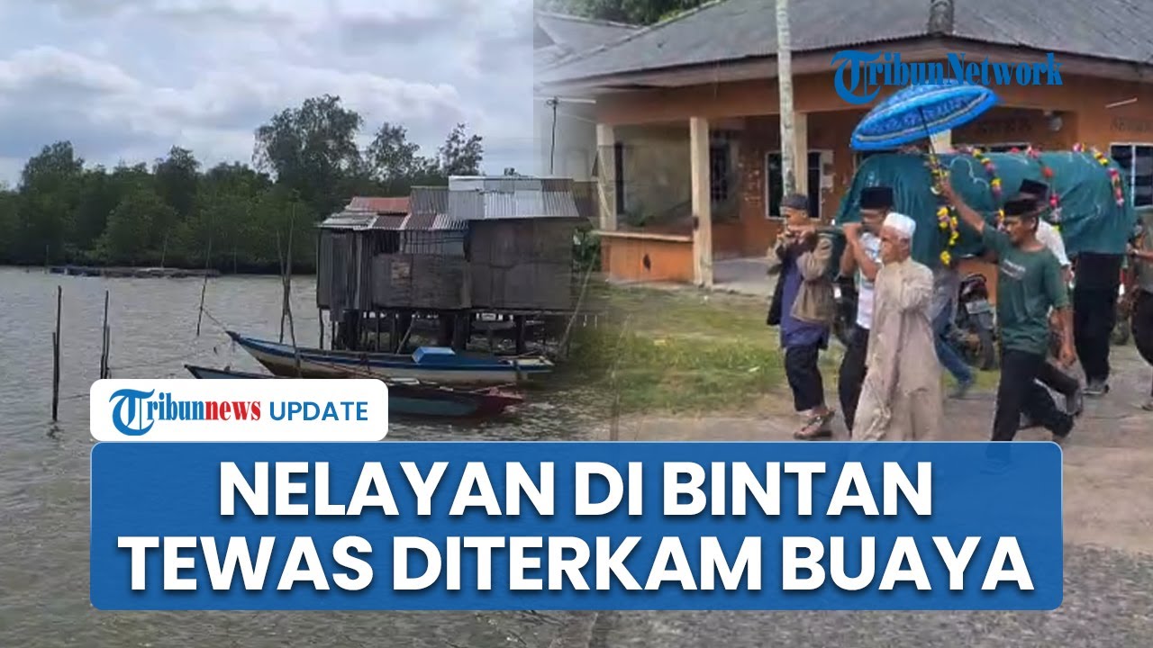 Detik-detik Nelayan di Tembeling Bintan Tewas Diterkam Buaya saat ...