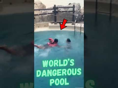 Swimming In One Of The Dangerous Swimming Pool In The World 🌍 #viralvideo #facts
