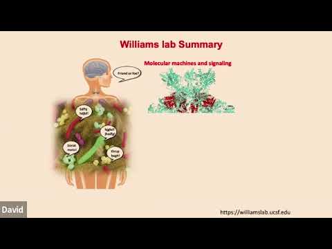 Molecular machines and signaling