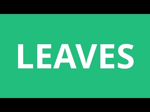 How To Pronounce Leaves - Pronunciation Academy