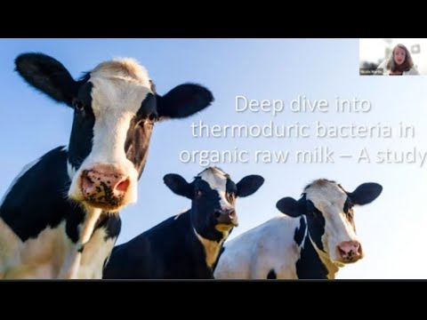 Factors Affecting Bacterial Spores in Organic Tank Milk