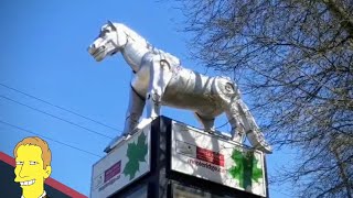 3 Best Public Parks in Maple Ridge, BC - Expert Recommendations