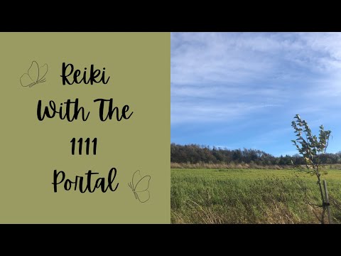 🌟Reiki🌟 1111 Portal Collab @Daniellesunshinevibes