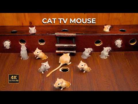 Cat TV ???? Mice Hide and Seek on Wooden Trail with Rustling & Squeaking | Full Screen 4K
