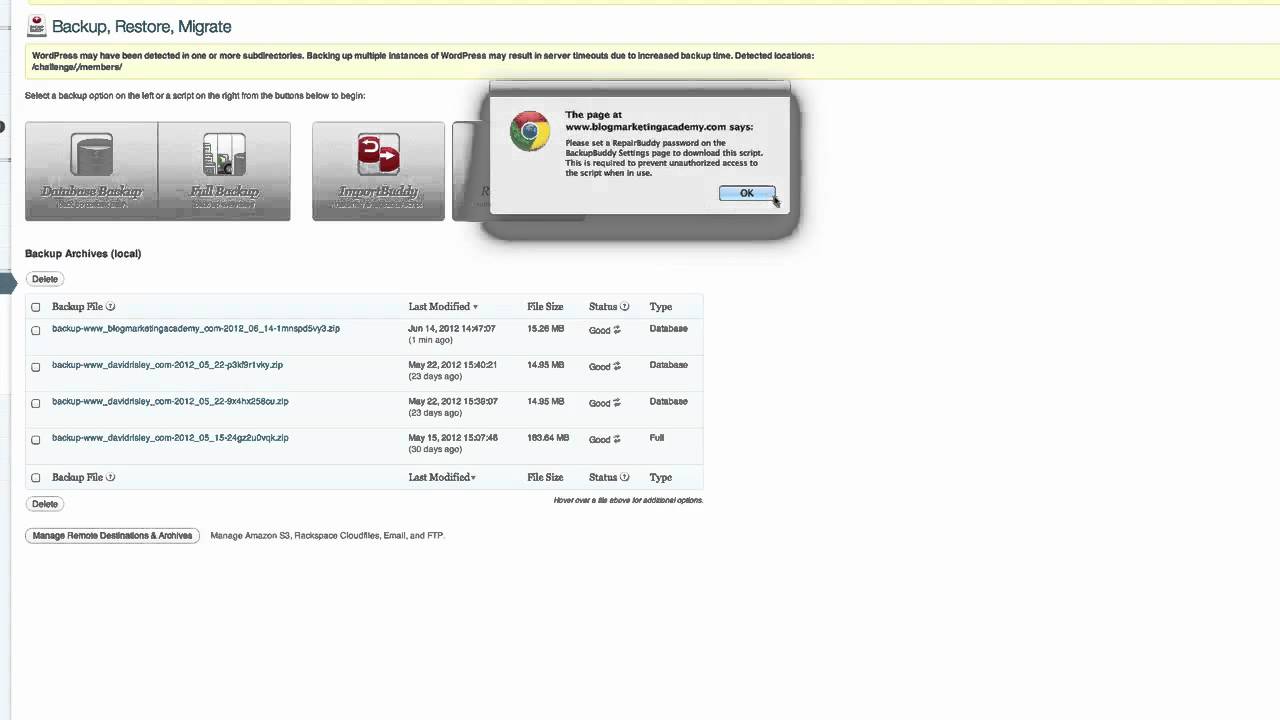 Backup Buddy Review - Wordpress Backup Plug-in