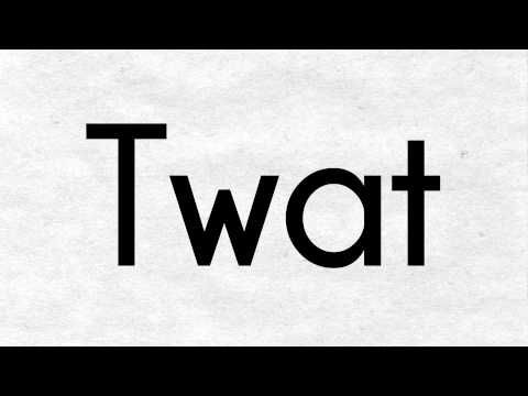 SLANGUAGE™ What does Twat mean? (England)