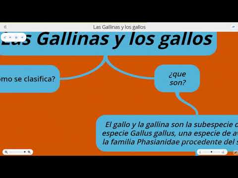 mapa conceptual de la gallinas