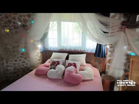Wild Cherry Cordwood - Spring time 2024/ Дивите череши - Пролет 2024