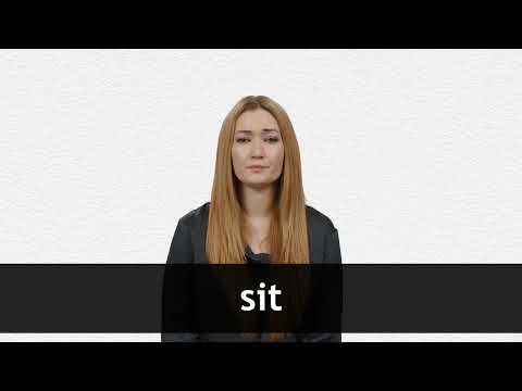 SIT definition and meaning | Collins English Dictionary