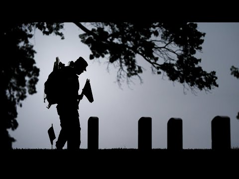 How Memorial Day Differs from Veterans Day