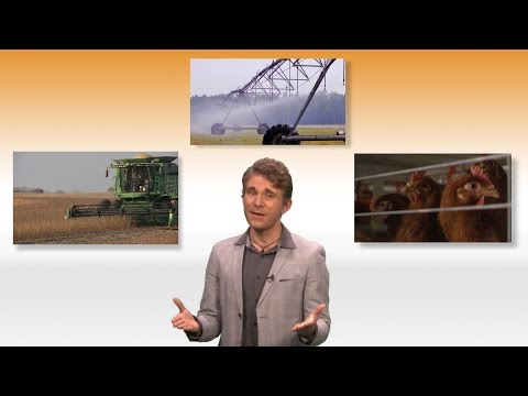 Fossil fuels are your food