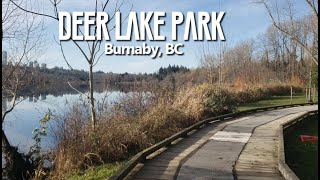 3 Best Public Parks in Burnaby, BC - Expert Recommendations