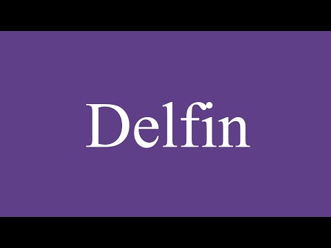 How To Pronounce ''Delfin'' (Dolphin) Correctly in Spanish