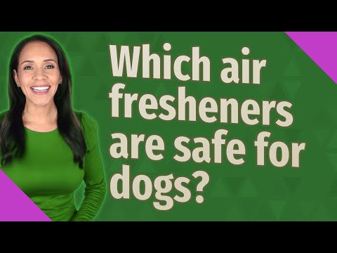 Which air fresheners are safe for dogs?