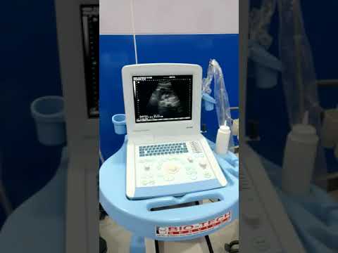 HONDA HS-2200 Japanese Ultrasound Machine. Resolution is Everything Buy Once Forever.