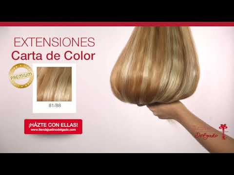 Color 81/88 - Línea Premium