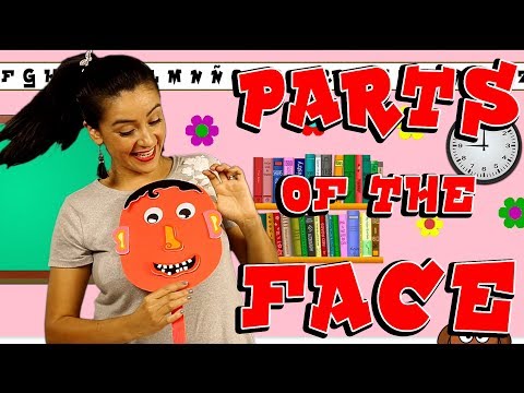 Parts of the Face in Spanish | Language Learners