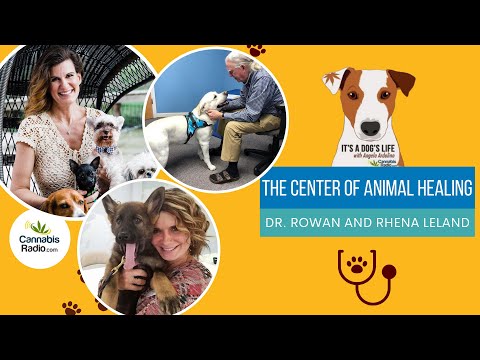 The Center for Animal Healing with Dr. PaulRowan and Rena Leland