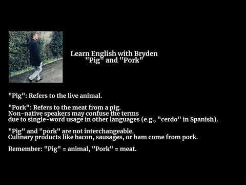 "Pig" and "Pork", Common English Grammar Errors (#41), Learn English