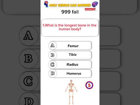 “What is the Longest Bone in the Human Body? Femur Quiz Answer Explained”