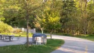 3 Best Public Parks in London, ON - Expert Recommendations