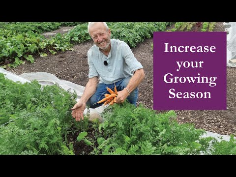 Why Plants Grow Better Together | How Interplanting Boosts Growth Naturally | No Dig Gardening