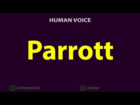 How To Pronounce Parrott