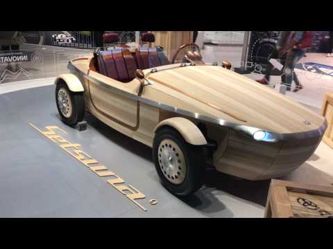 Setsuna ]] Wooden  Car - Toyota Exposition { Paris }