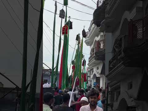 muharram ka juloos Status | Muharram Whatsapp Status tajiya Muharram status juloos