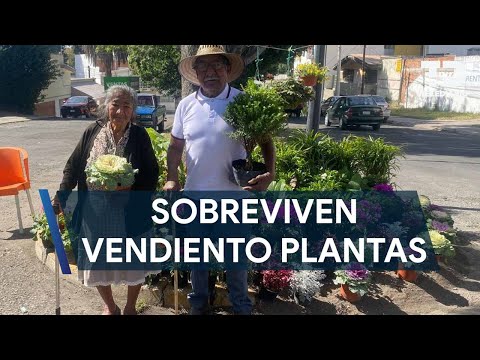 Facunda y Fernando, la pareja de abuelitos que sobrevive vendiendo plantas y flores en Puebla