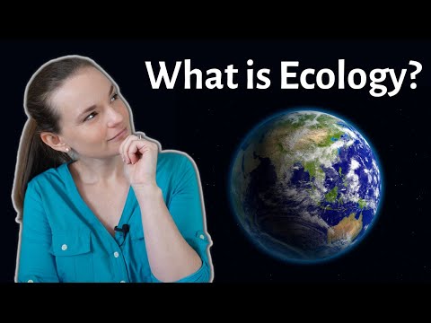 What is Ecology?