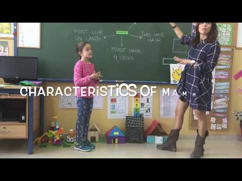 Characteristics of mammals