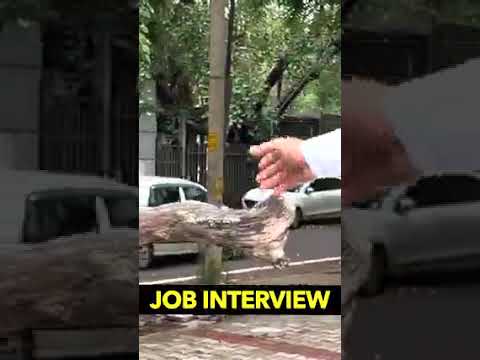 job interview|| Rahul Rajput||