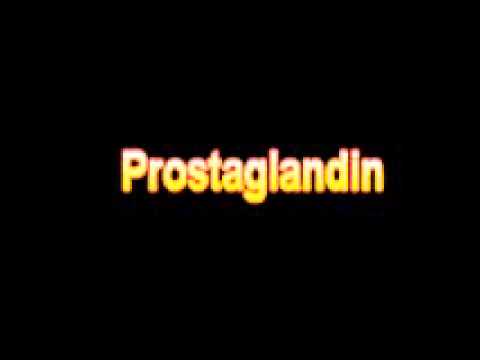 What Is The Definition Of Prostaglandin Medical School Terminology Dictionary