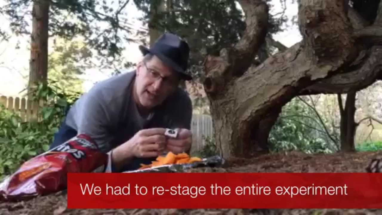 Life Hack -- Doritos FireStarter