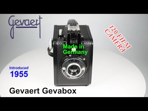 1955 Gevaert Gevabox - 120 Film Camera