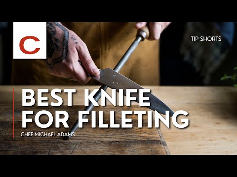 Best Knife for Filleting | Chef Michael Adams | Tips #shorts