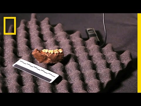 Humanoid? Cave Women Unearth Skull of UNKNOWN "Human Ancestor". Videos ...