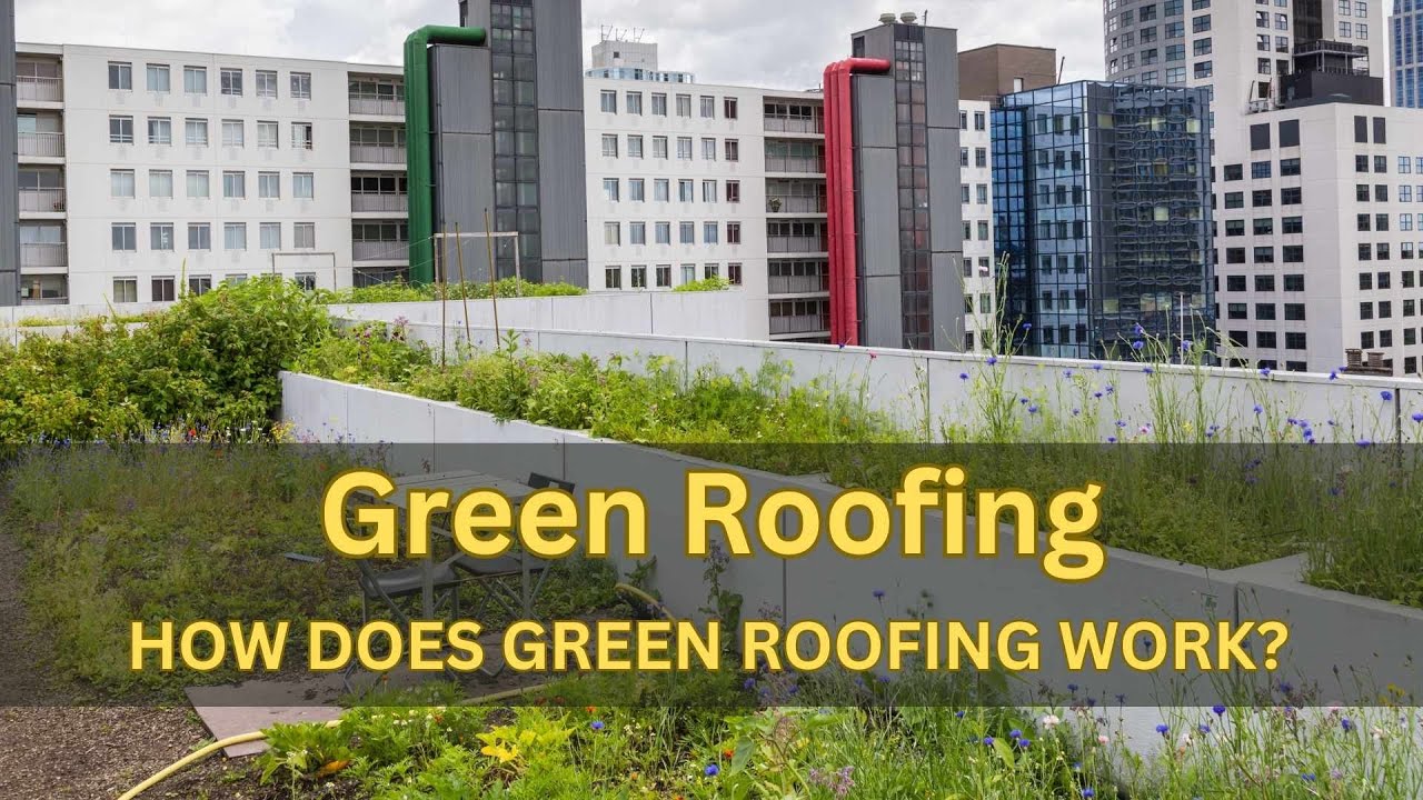Green Roofing: An Introduction to Vegetative Roofing Systems