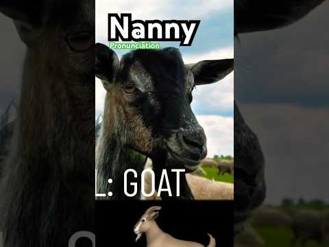 ๐ What is a Nanny Goat? What type of Goat is a Nanny? Nanny Goat Meaning #nannygoat #goats #english