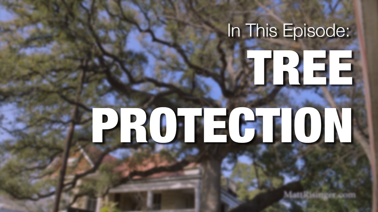 Protecting Trees From Nearby Construction