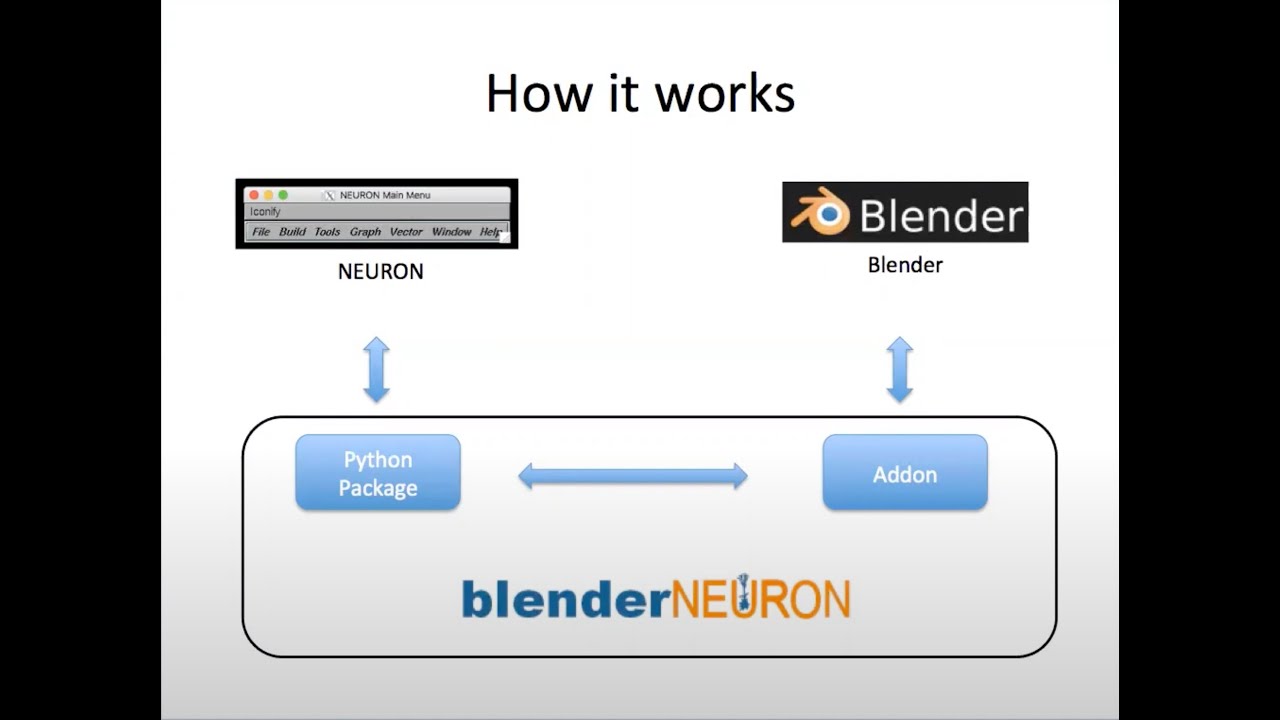 Tutorial: Installing BlenderNEURON