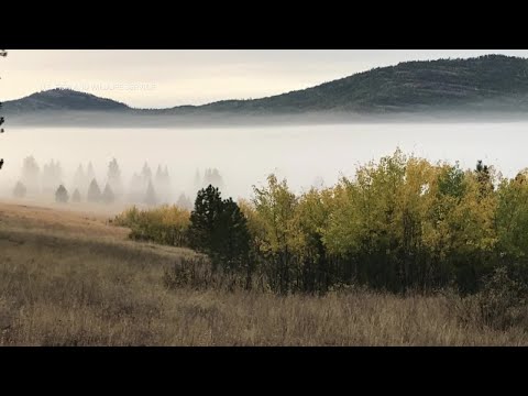 USFWS aims to preserve 100,000 acres of forest land west of Kalispell
