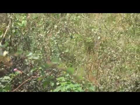 1200sqft Land for Sale @ 60L in B K Residency, Nobo Nagar, Bangalore Refind:14035
